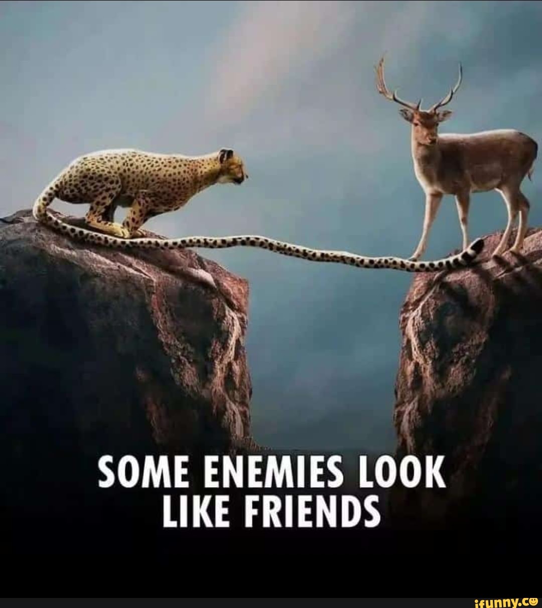 SOME ENEMIES LOOK LIKE FRIENDS - iFunny