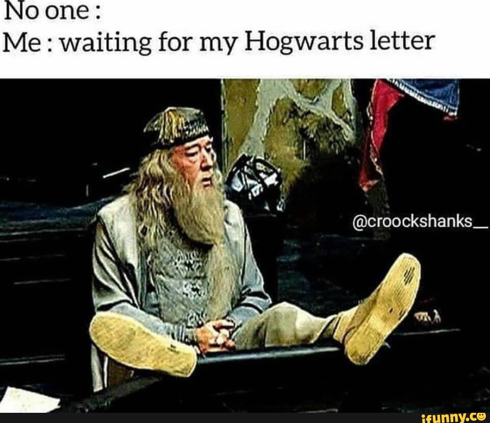INO OME Me: waiting for my Hogwarts letter @croockshanks_ - iFunny