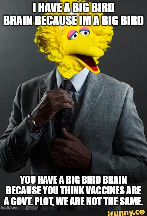 HAVE A BIG BIRD BRAIN BECAUSE IM A BIG BIRD YOU HAVE A BIG BIRD BRAIN ...