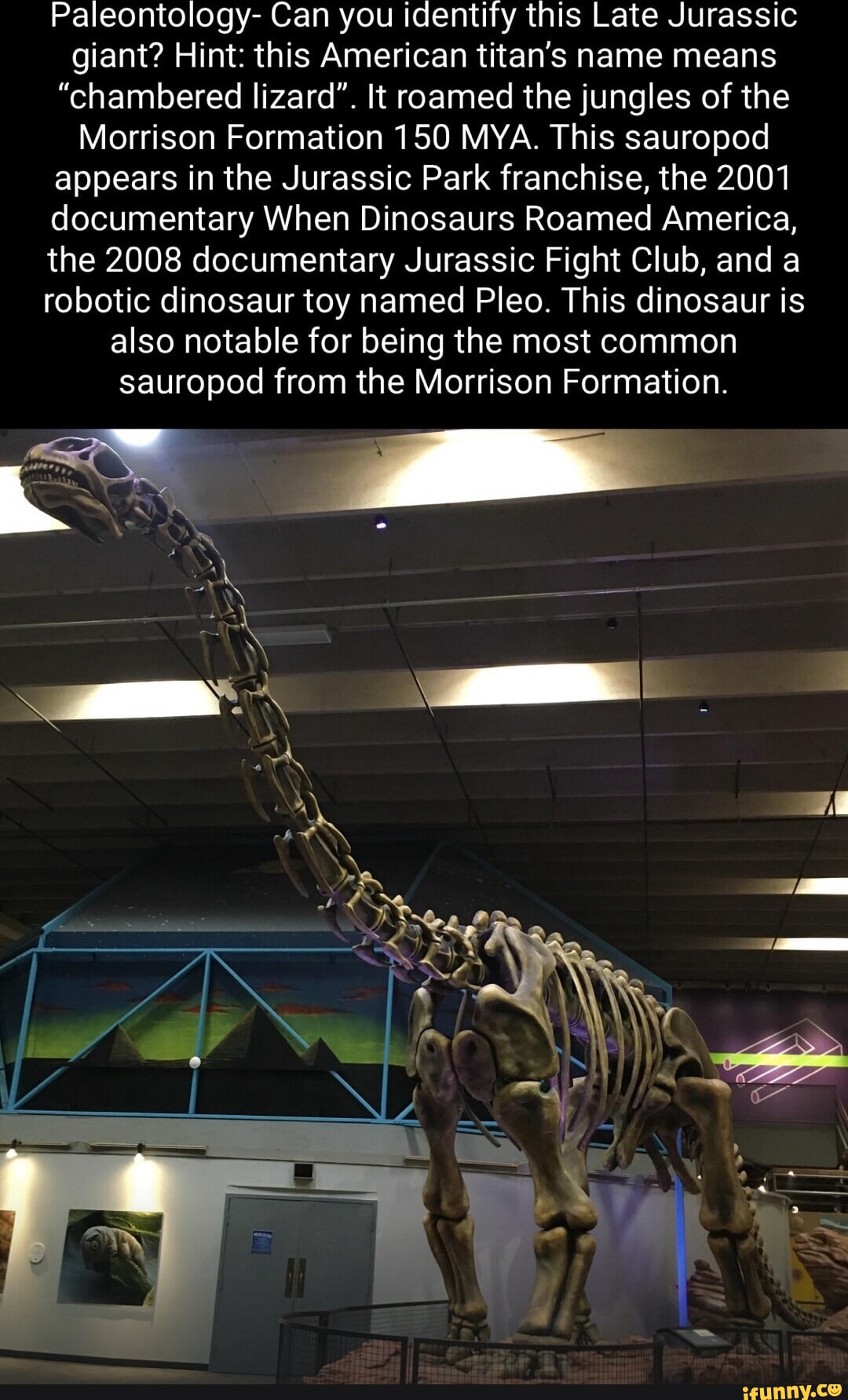 Paleontology- Can you identify this Late Jurassic giant? Hint: this ...
