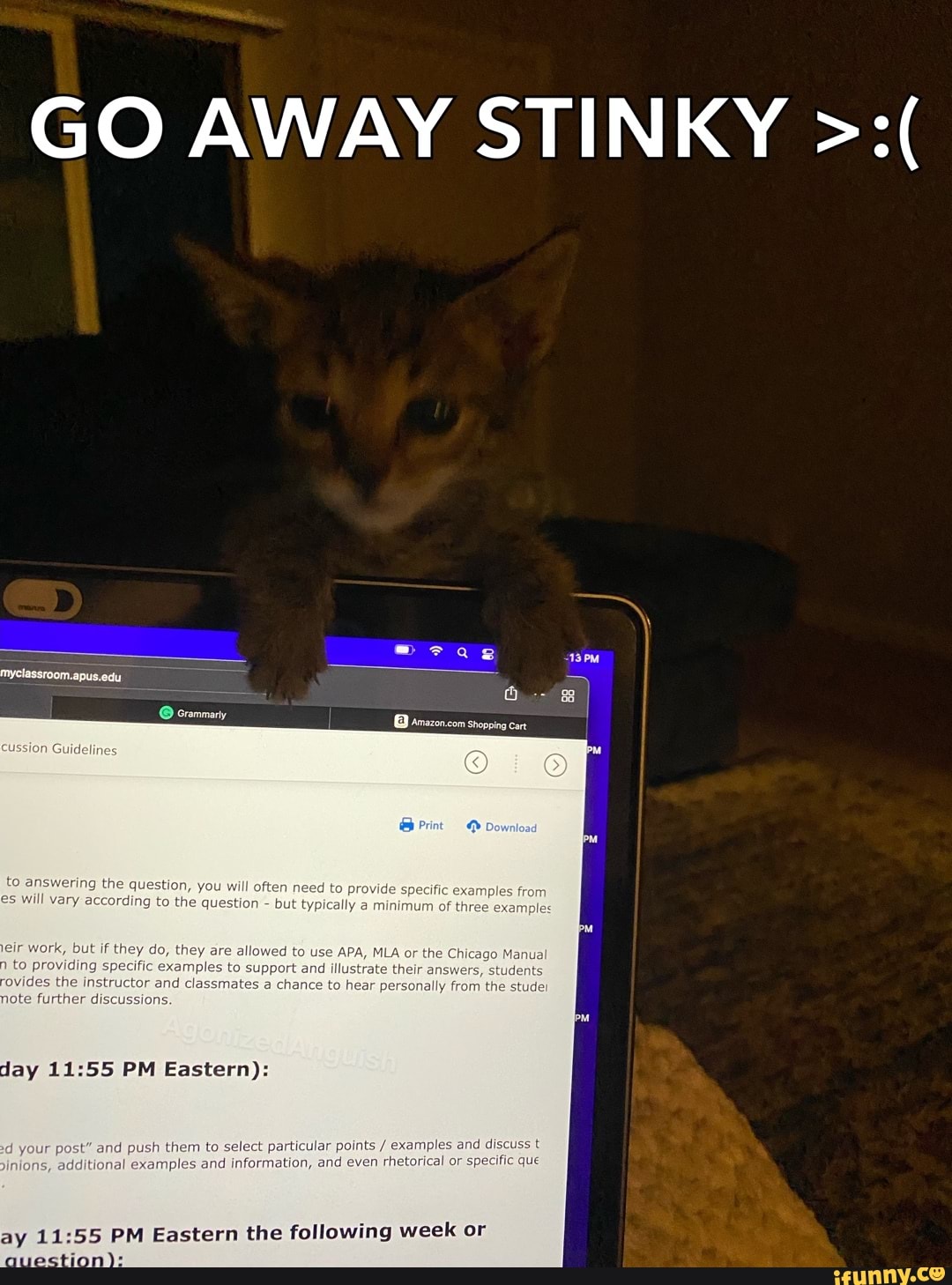 Mla memes. Best Collection of funny Mla pictures on iFunny