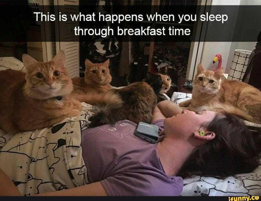 JUST TO BE CLEAR High Capacity COW Assault Cow - iFunny