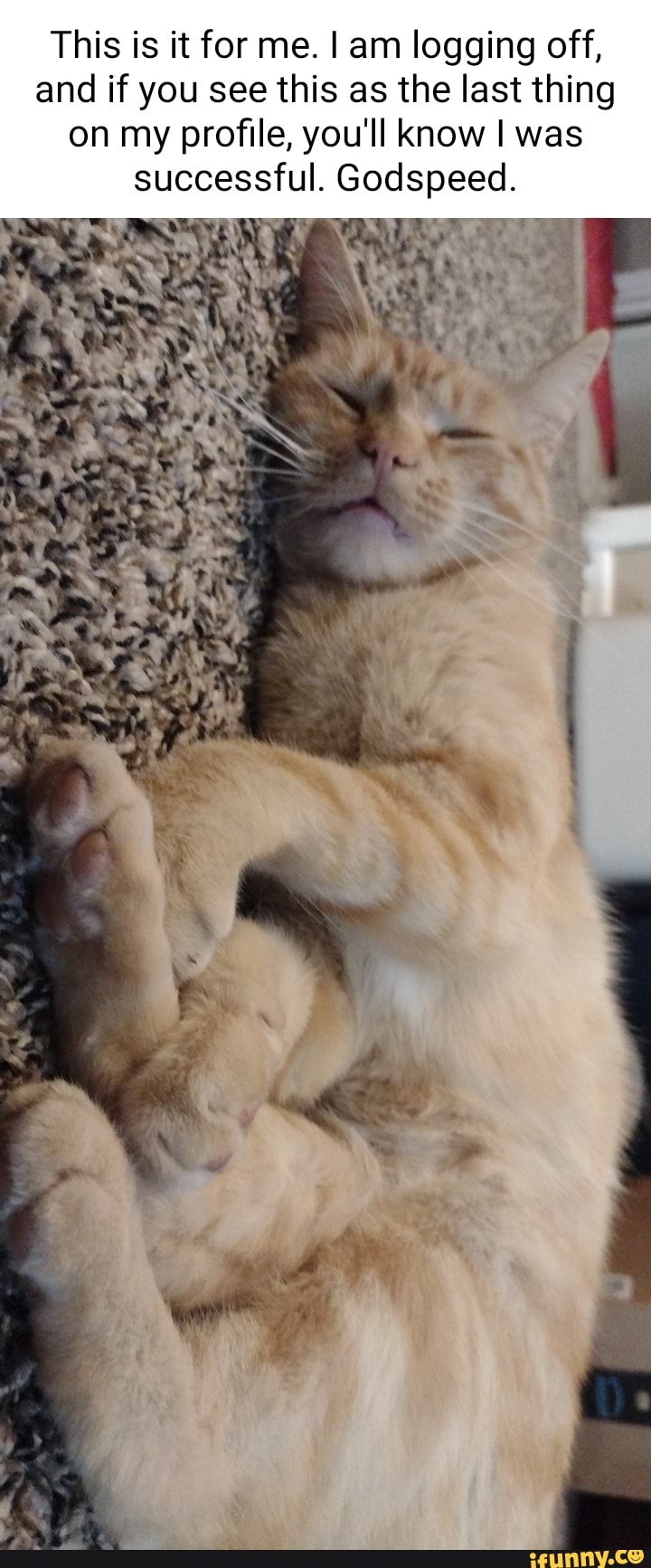 Logging memes. Best Collection of funny Logging pictures on iFunny