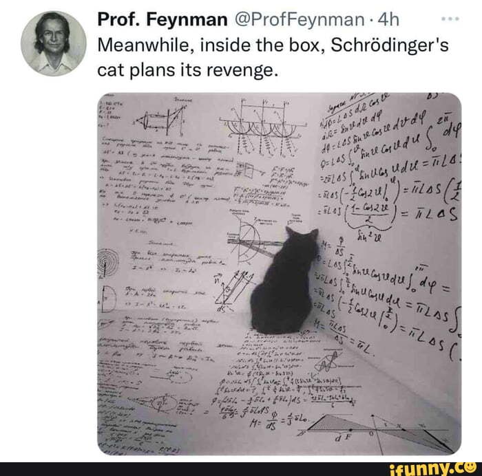 Prof. Feynman @ProfFeynman Meanwhile, inside the box, Schrddinger's cat ...