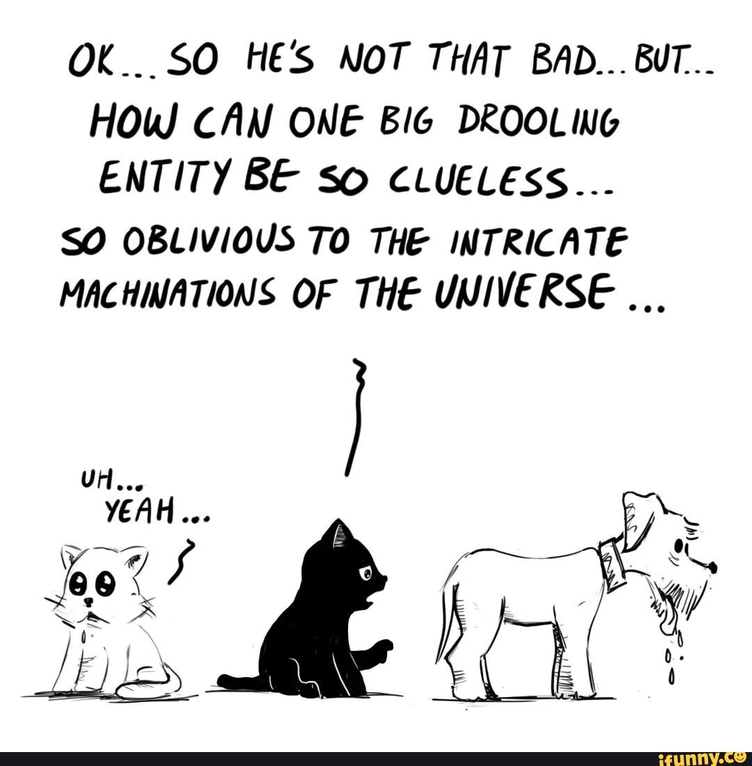 Oblivious memes. Best Collection of funny Oblivious pictures on iFunny