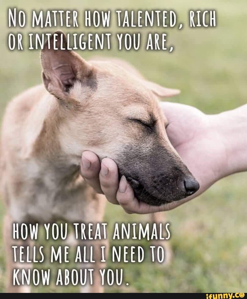 Meme drop - NO MATTER HOW TALENTED, RICH OR INTELLIGENT YOU ARE, HOW ...