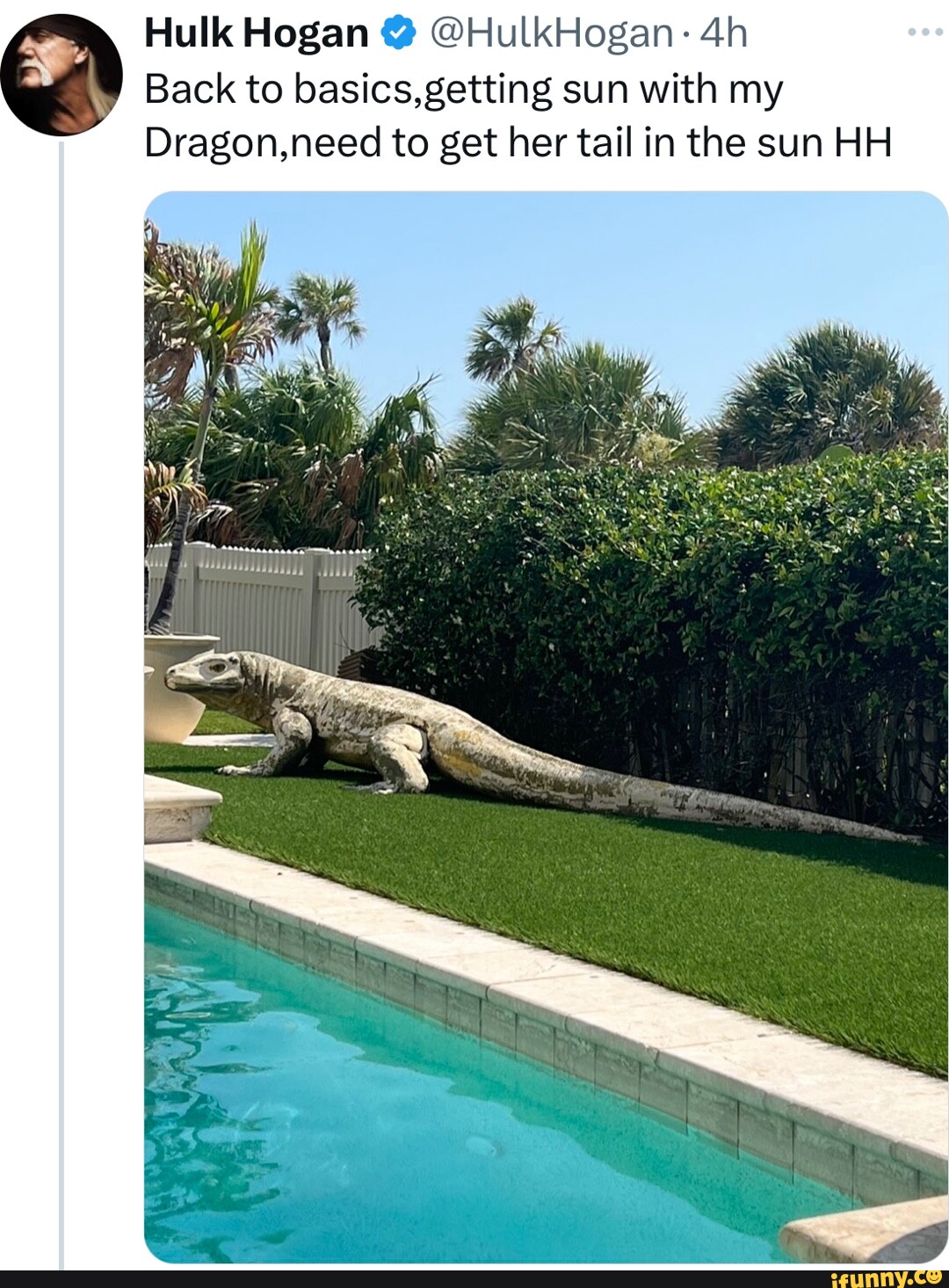 Hulk Hogan @ @HulkHogan: Back to basics, getting sun with my Dragon ...