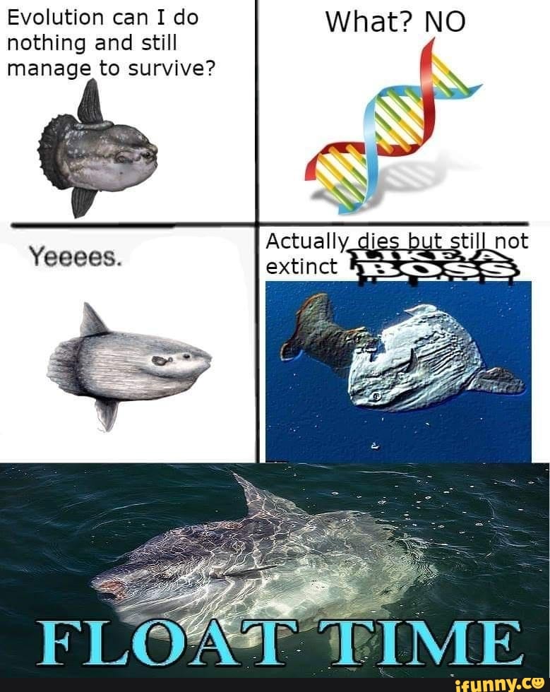 Yeeees memes. Best Collection of funny Yeeees pictures on iFunny