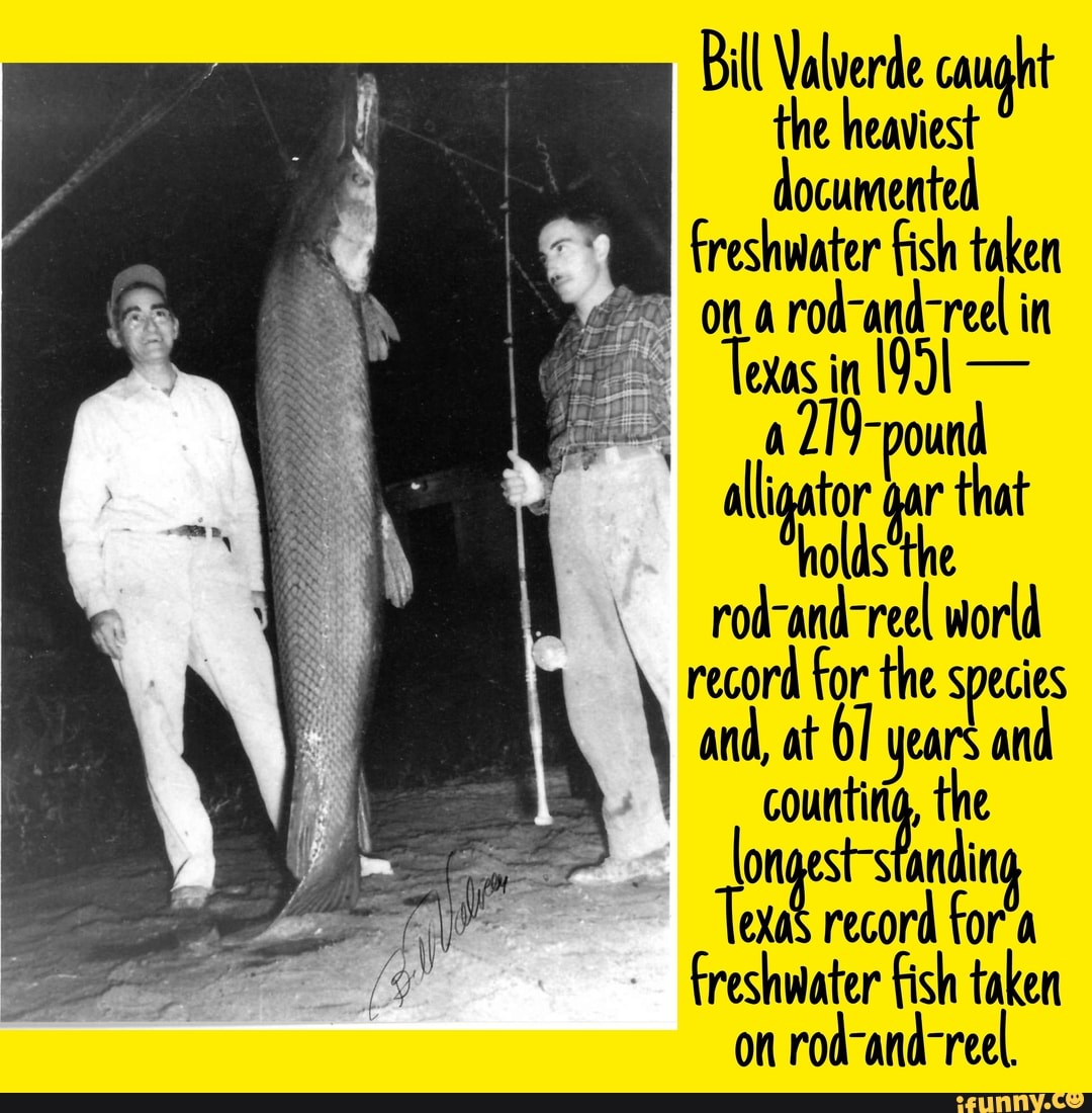 Bill Valverde caught the heaviest documented freshwater fish taken ona ...