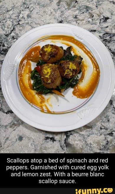 Scallops memes. Best Collection of funny Scallops pictures on iFunny