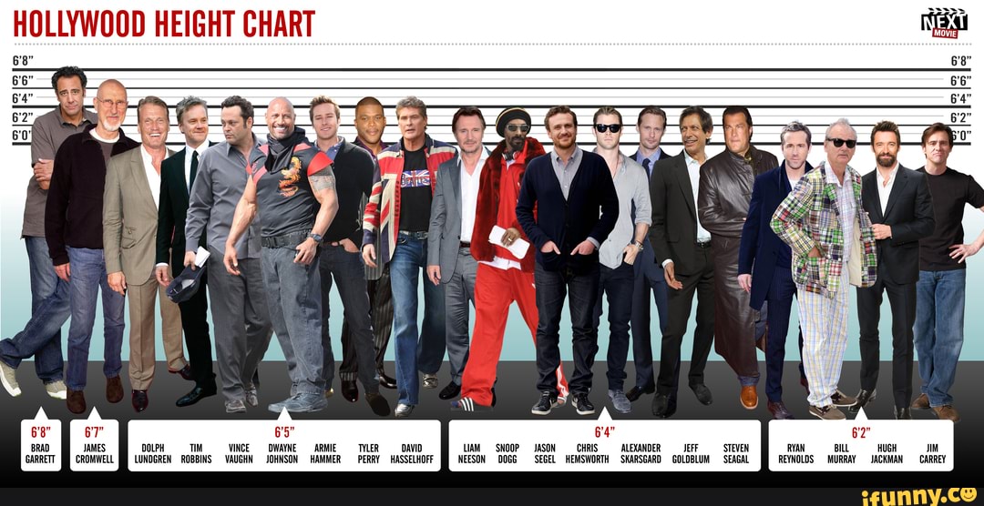 The Taller HOLLYWOOD HEIGHT CHART 6 8 6 2 BRAD DOLPH TIM LUNDGREN