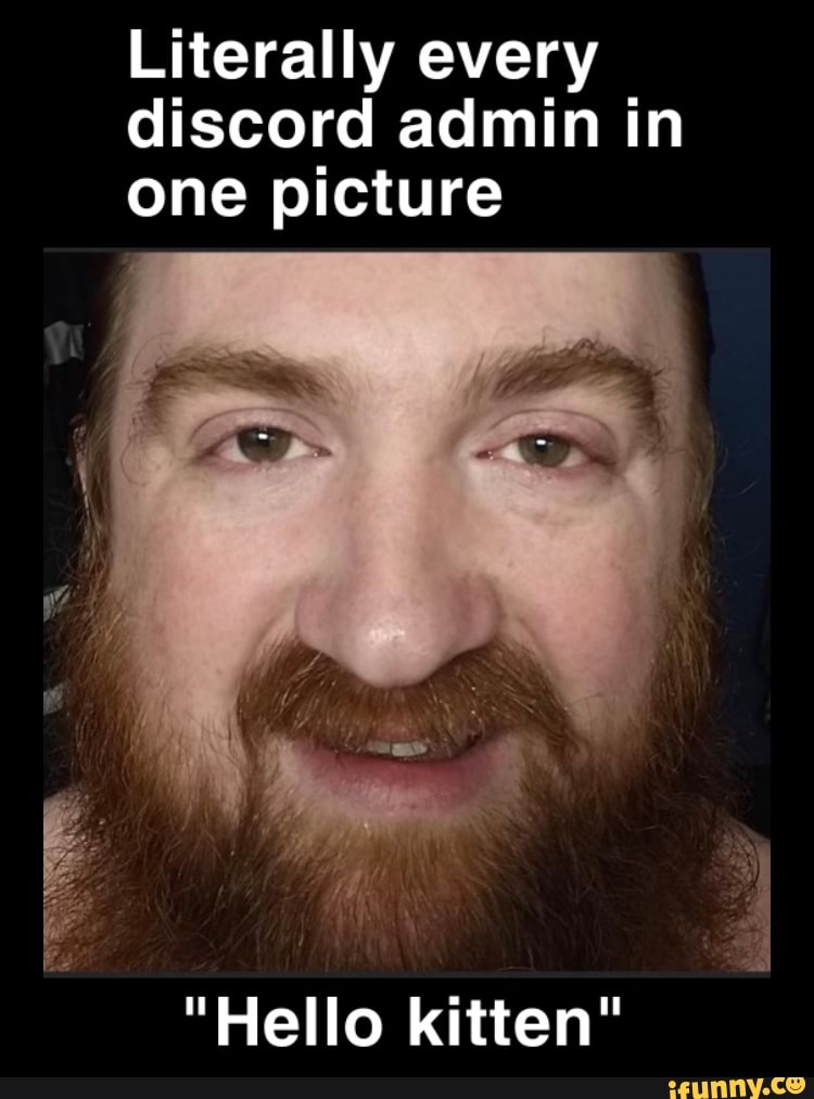 Literally every discord admin in one picture "Hello kitten" - iFunny