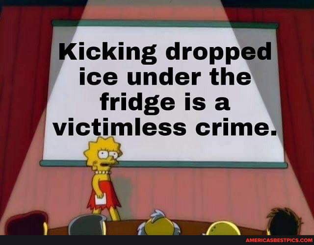 Ko-fi.com/memesfromthevoid - Kicking dropped ice under the fridge isa ...