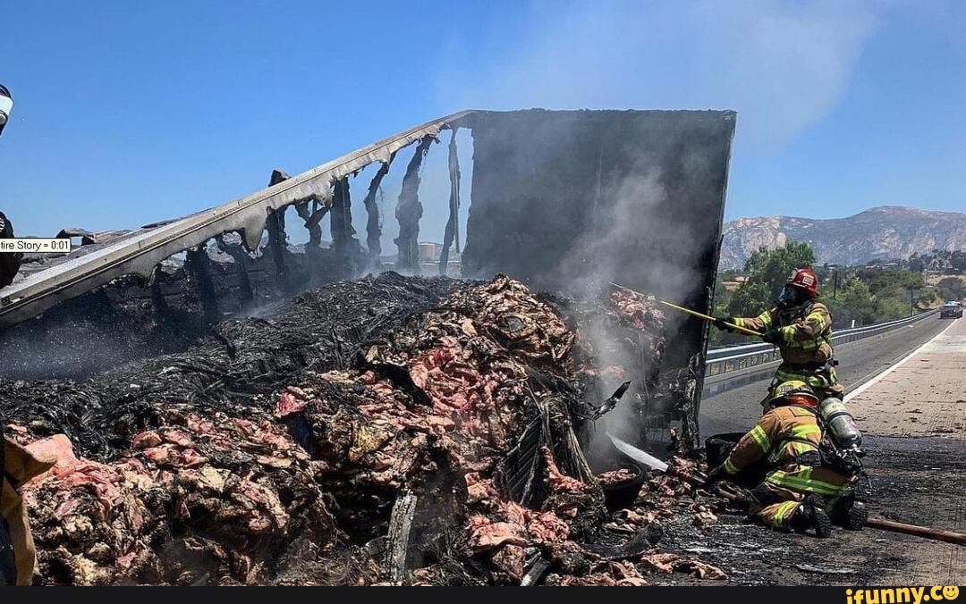 Cursed_steak memes. Best Collection of funny Cursed_steak pictures on ...