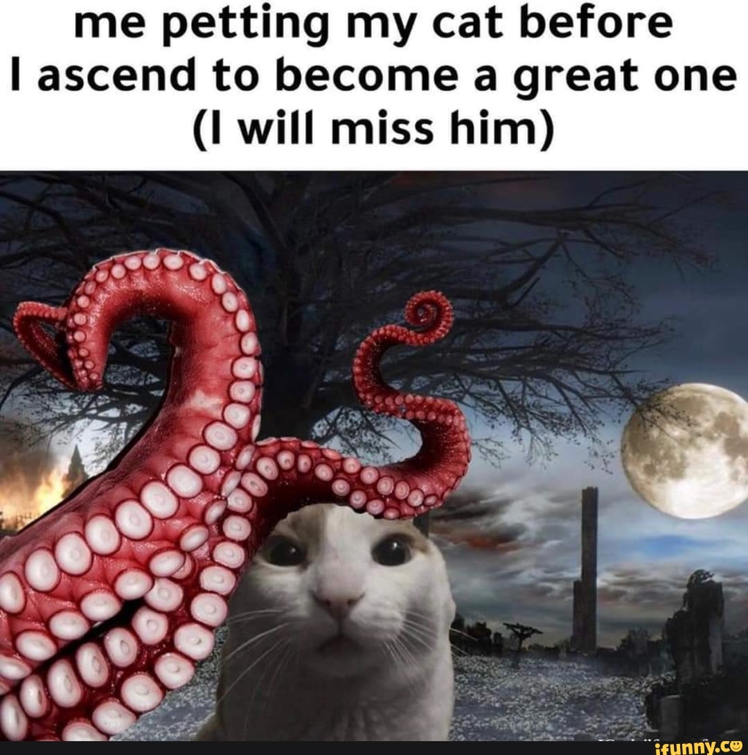 Me petting my cat before ascend to become a great one (I will miss him ...