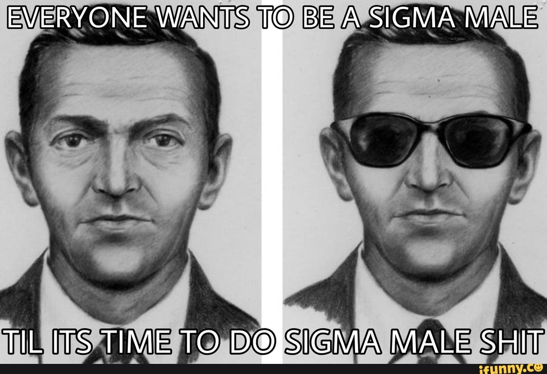 EVERYONE WANTS BE A SIGMA MALE. TIL ITS TIME TO MALE SHIT - iFunny