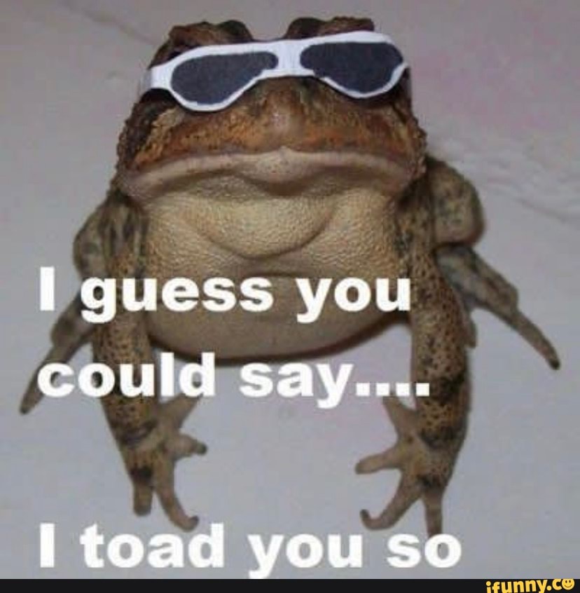 Il gquess you could say.... toad you so - iFunny