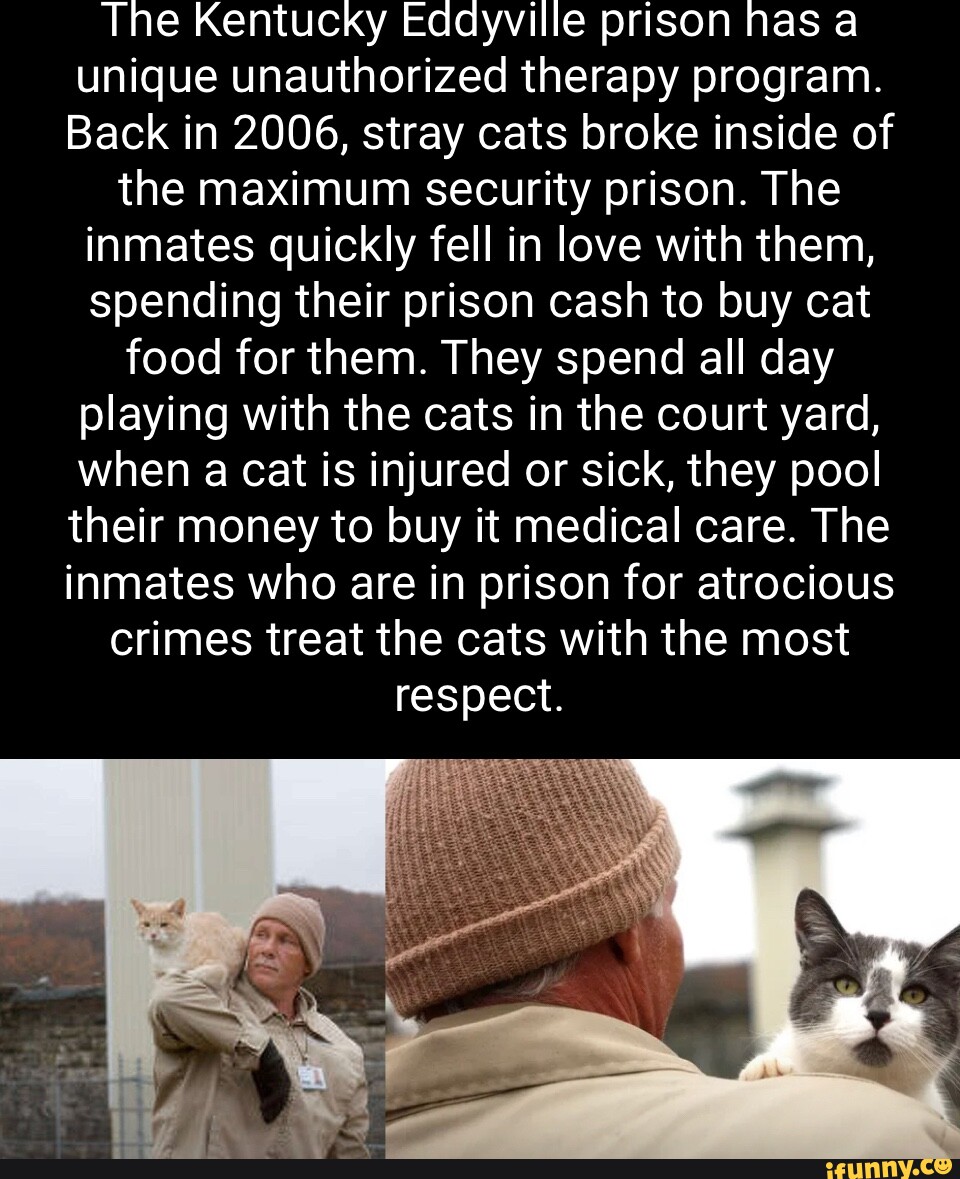 The Kentucky Edayville prison has a unique unauthorized therapy program ...