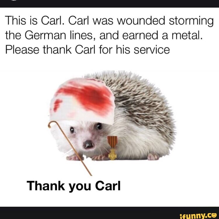 This is Carl. Carl was wounded storming the German lines, and earned a ...