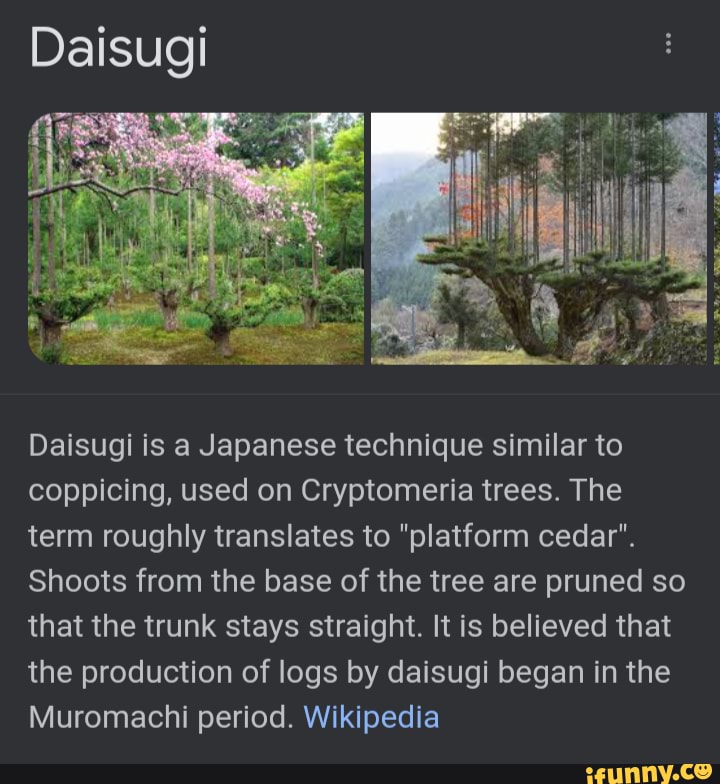 Daisugi - Daisugi Daisugi is a Japanese technique similar to coppicing ...