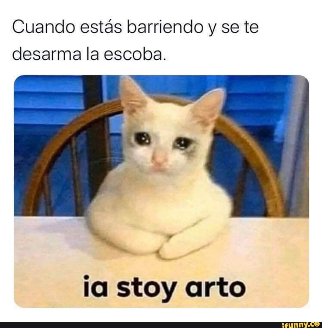 Cuando estas barriendo y se te desarma la escoba. ia stoy arto - iFunny