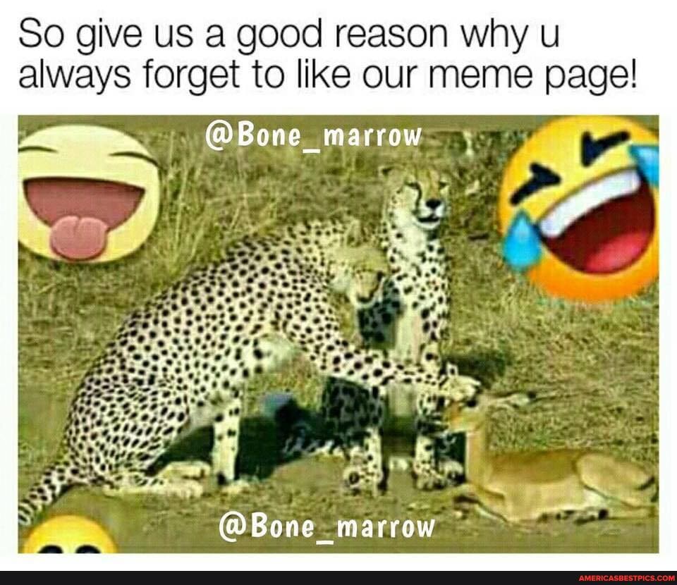 SO give us a good reason why u always forget to like our meme page ...