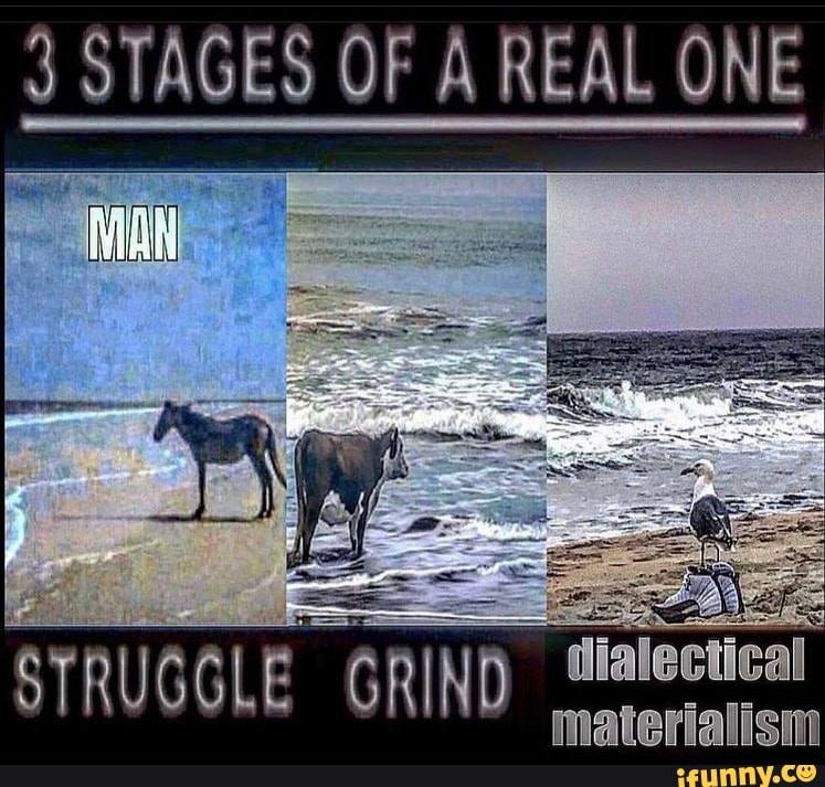 3 STAGES OF A REAL ONE dialectical materialism - iFunny
