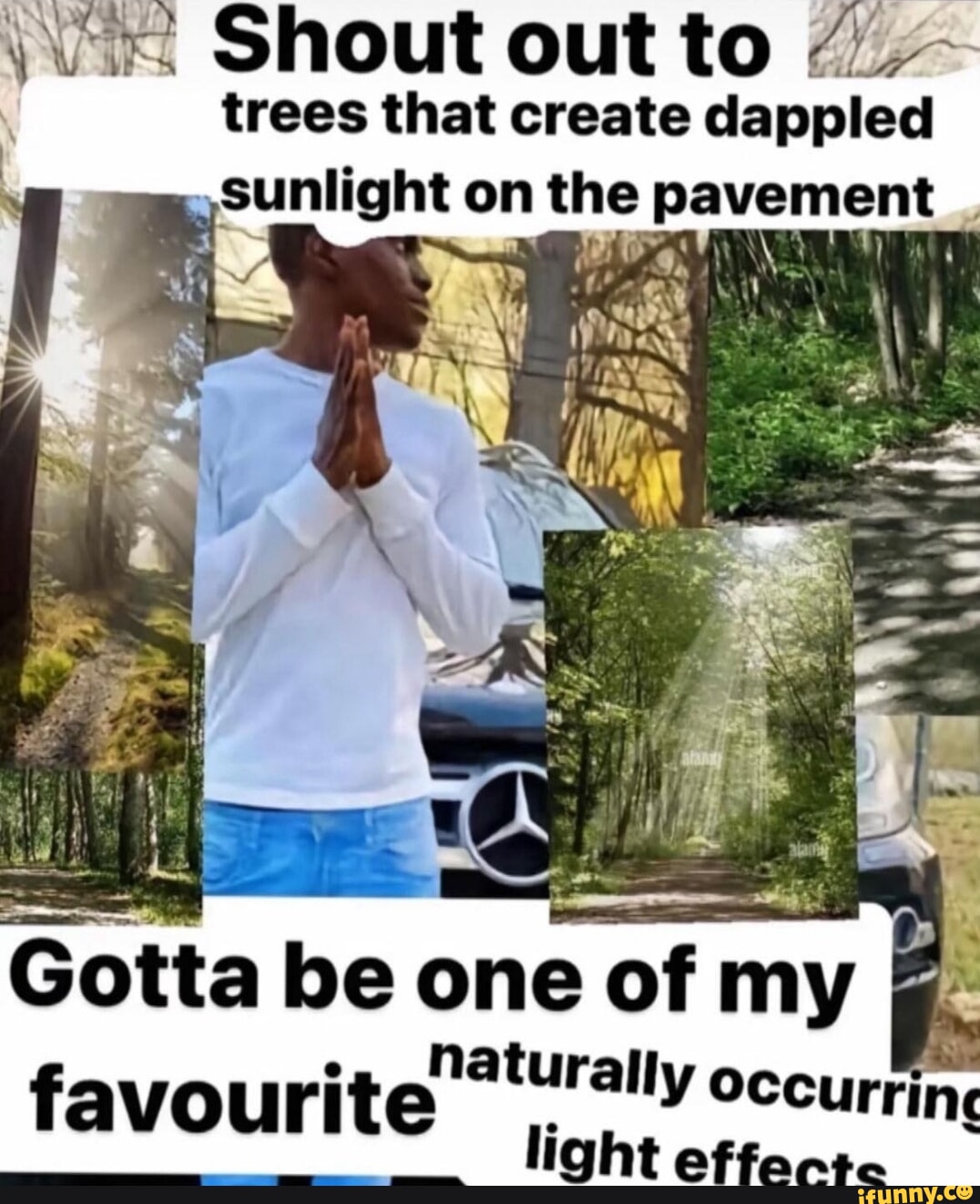 Shout out to trees that create dappled nt Gotta be one of my naturally ...