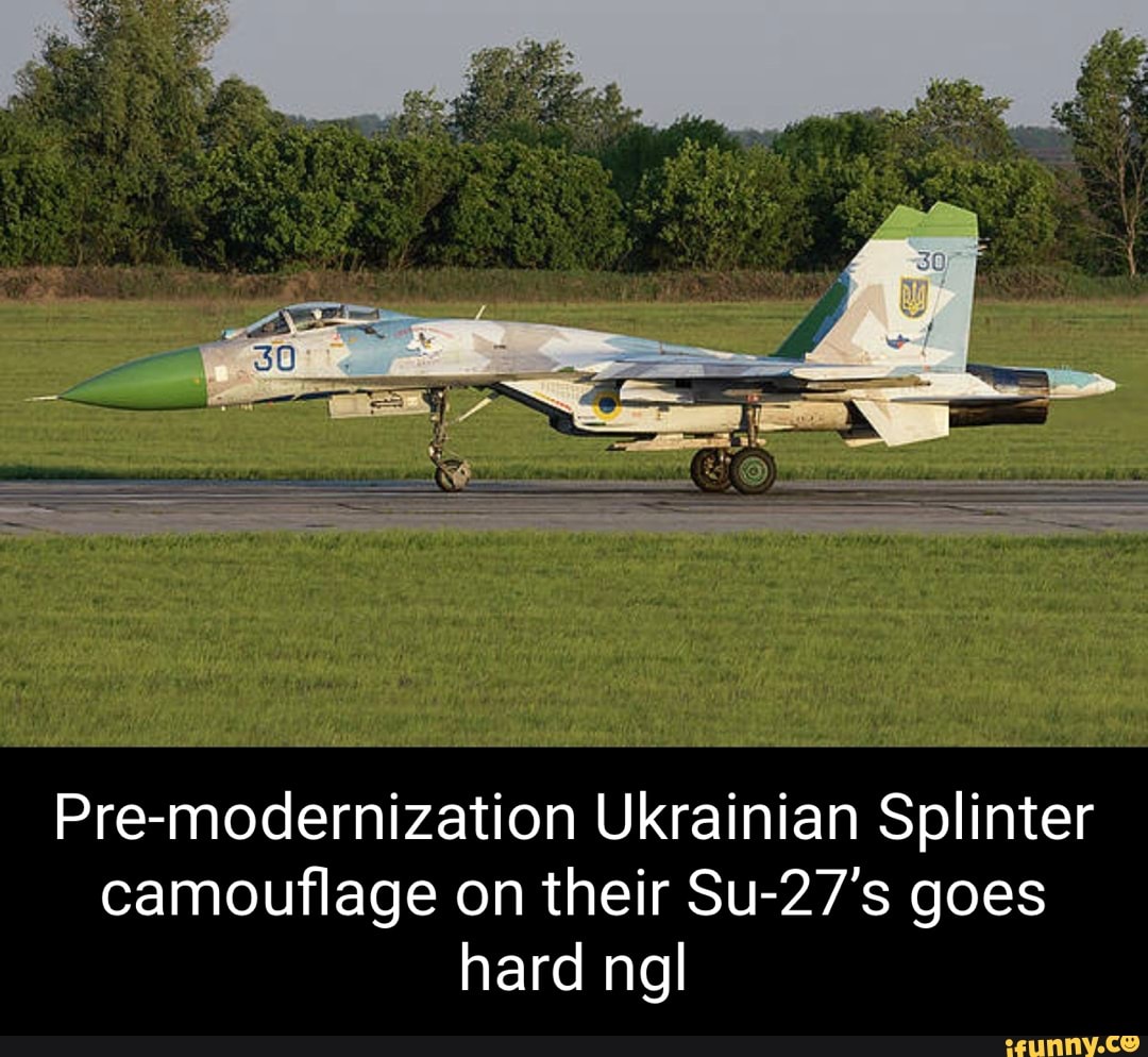 Pre-modernization Ukrainian Splinter camouflage on their Su-27's goes ...