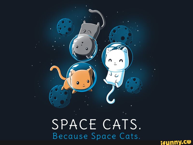 Meme dump 79: bath lizards - SPACE CATS. Because Space Cats. - iFunny