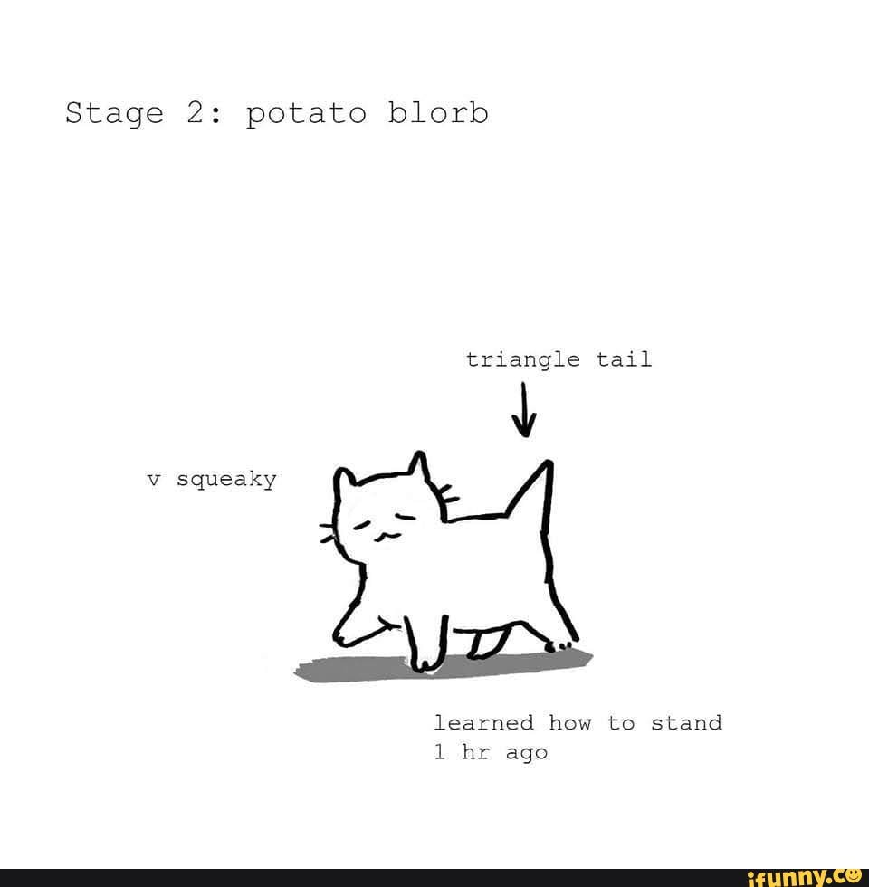 Blorb memes. Best Collection of funny Blorb pictures on iFunny