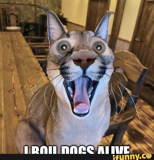 Nnno memes. Best Collection of funny Nnno pictures on iFunny