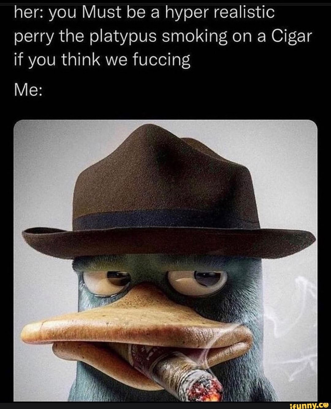 Her: you Must be a hyper realistic perry the platypus smoking on a ...