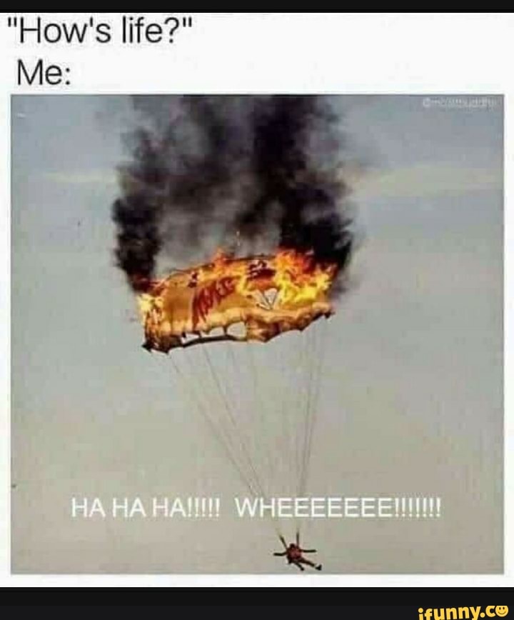 Heeeeeee memes. Best Collection of funny Heeeeeee pictures on iFunny