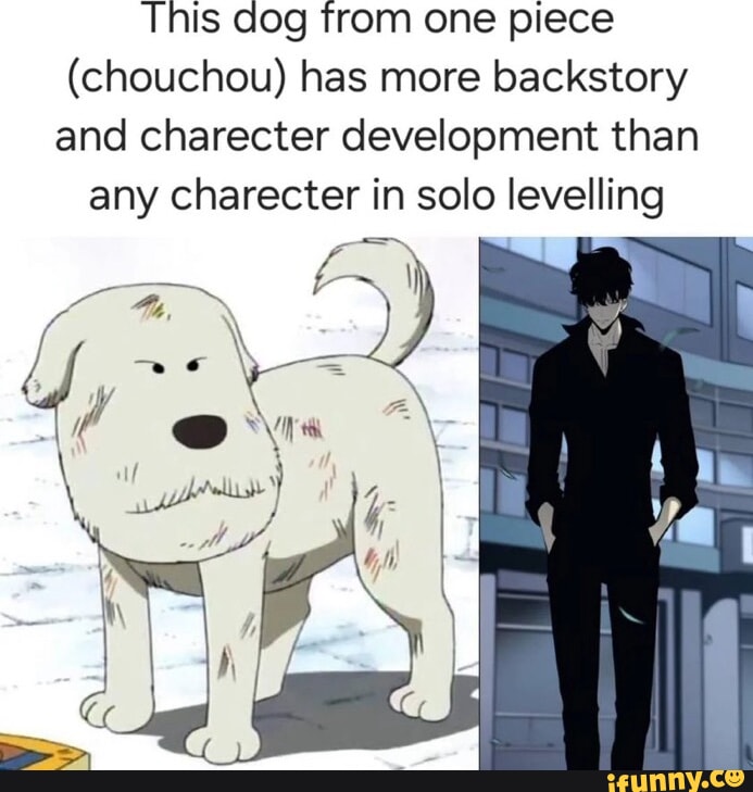 This dog Trom one piece (chouchou) has more backstory and charecter ...