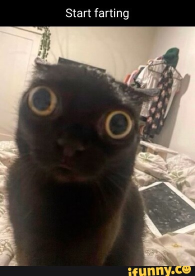 Start farting - iFunny