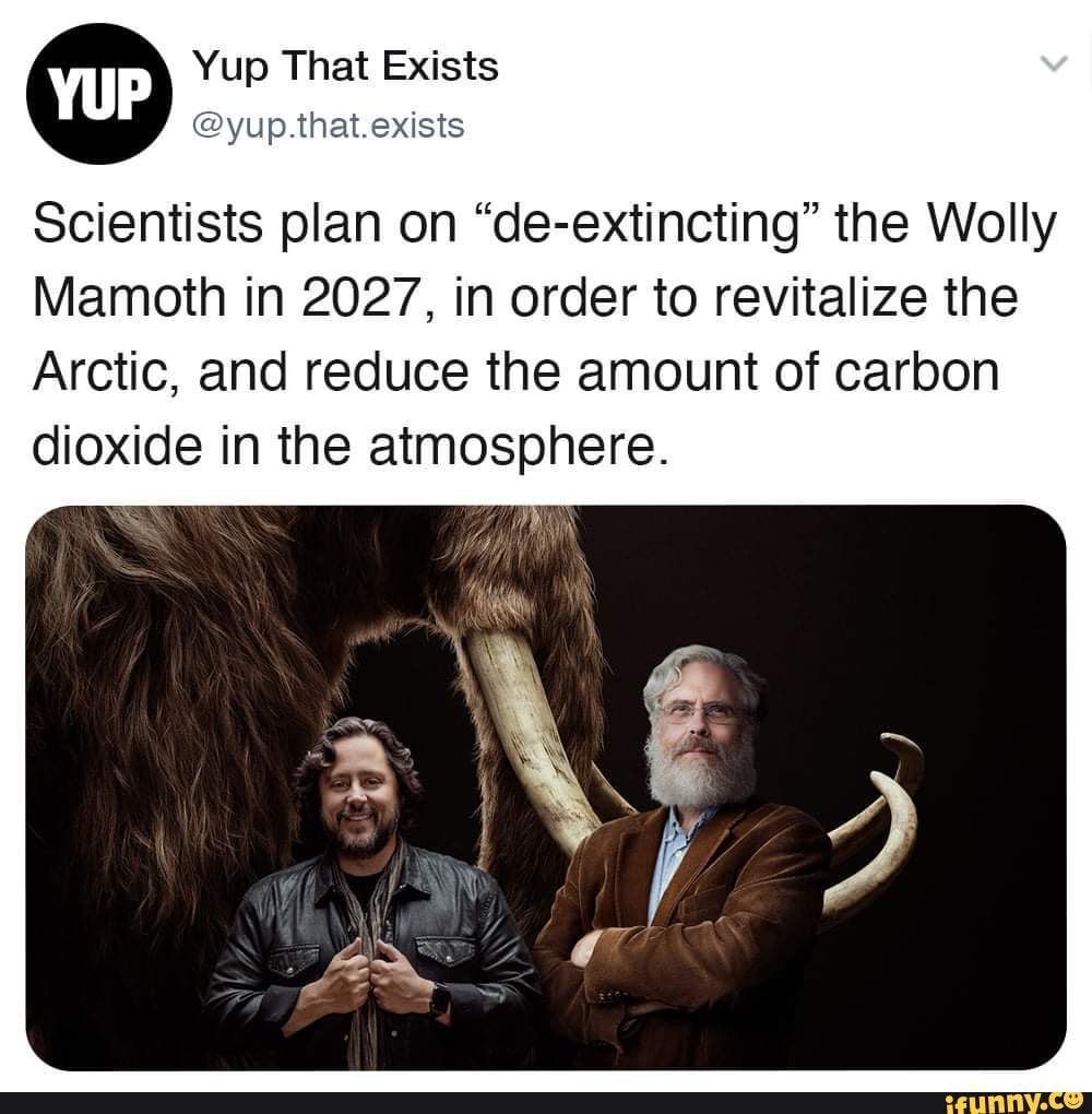 Wolly memes. Best Collection of funny Wolly pictures on iFunny