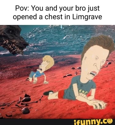 Pov: You and your bro just opened a chest in Lii - iFunny