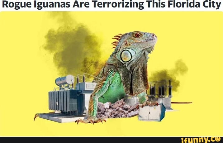 Iguanas memes. Best Collection of funny Iguanas pictures on iFunny