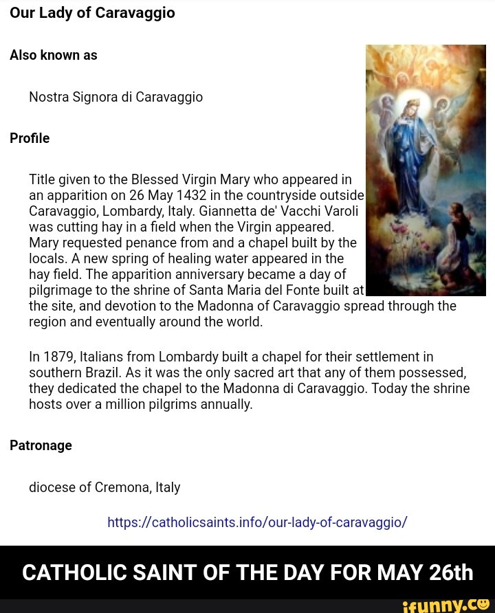 Signora memes. Best Collection of funny Signora pictures on iFunny