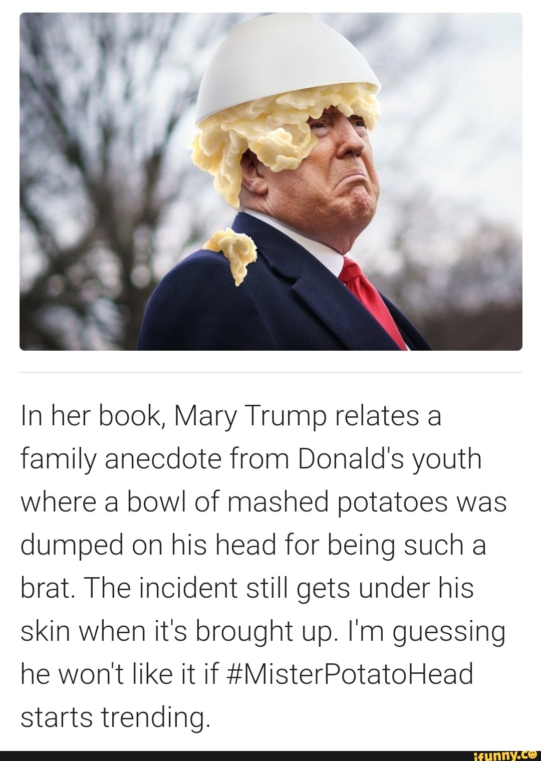 In her book, Mary Trump relates a family anecdote from Donald's youth ...