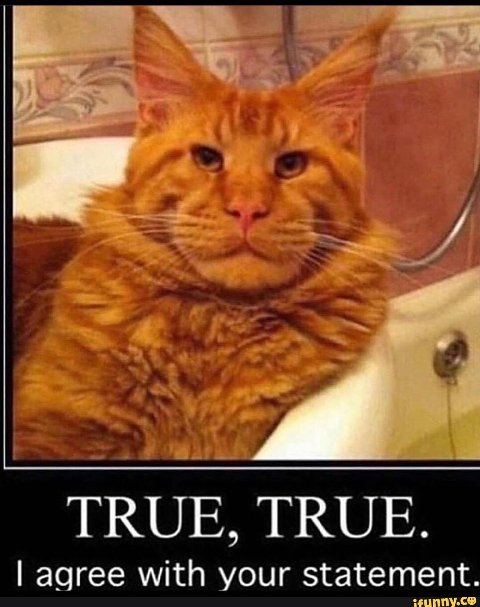 TRUE. TRUE. I agree with your statement. - iFunny