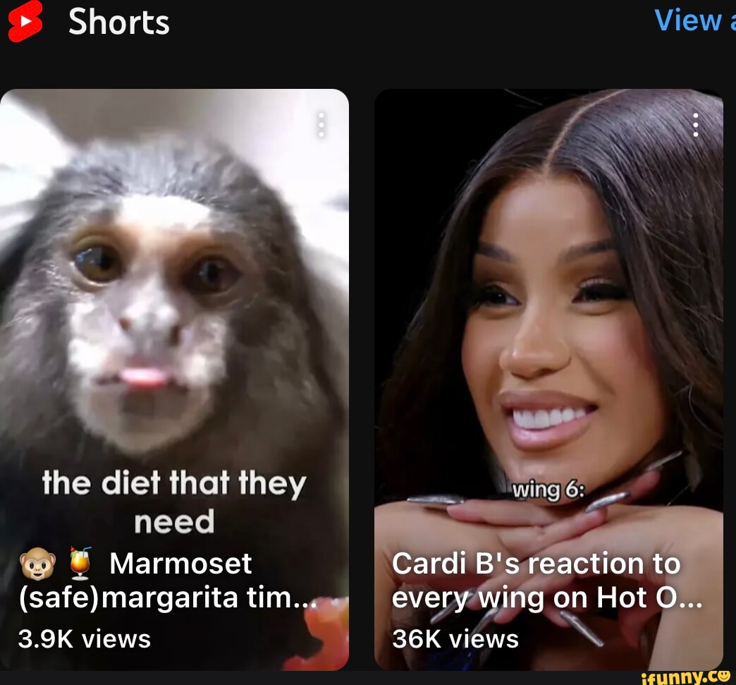 Marmoset memes. Best Collection of funny Marmoset pictures on iFunny