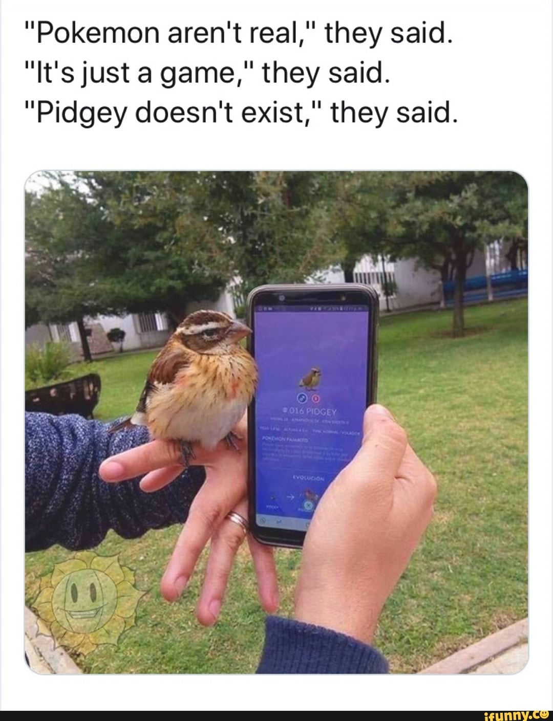 "Pokemon aren't real," they said. "It's just a game," they said ...
