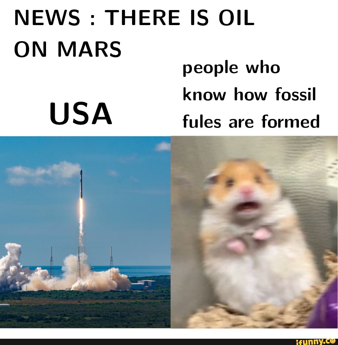 Fules memes. Best Collection of funny Fules pictures on iFunny