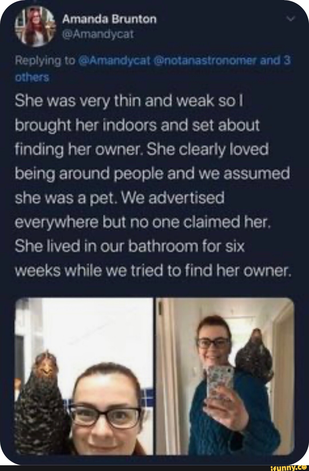 Oamandycat memes. Best Collection of funny Oamandycat pictures on iFunny