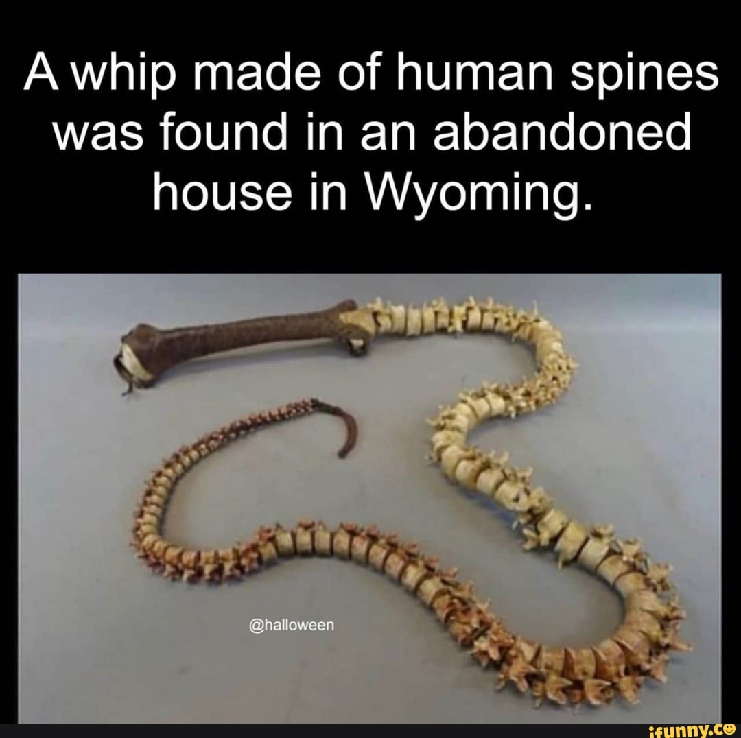 A whip made of human spines was found in an abandoned house in Wyoming ...
