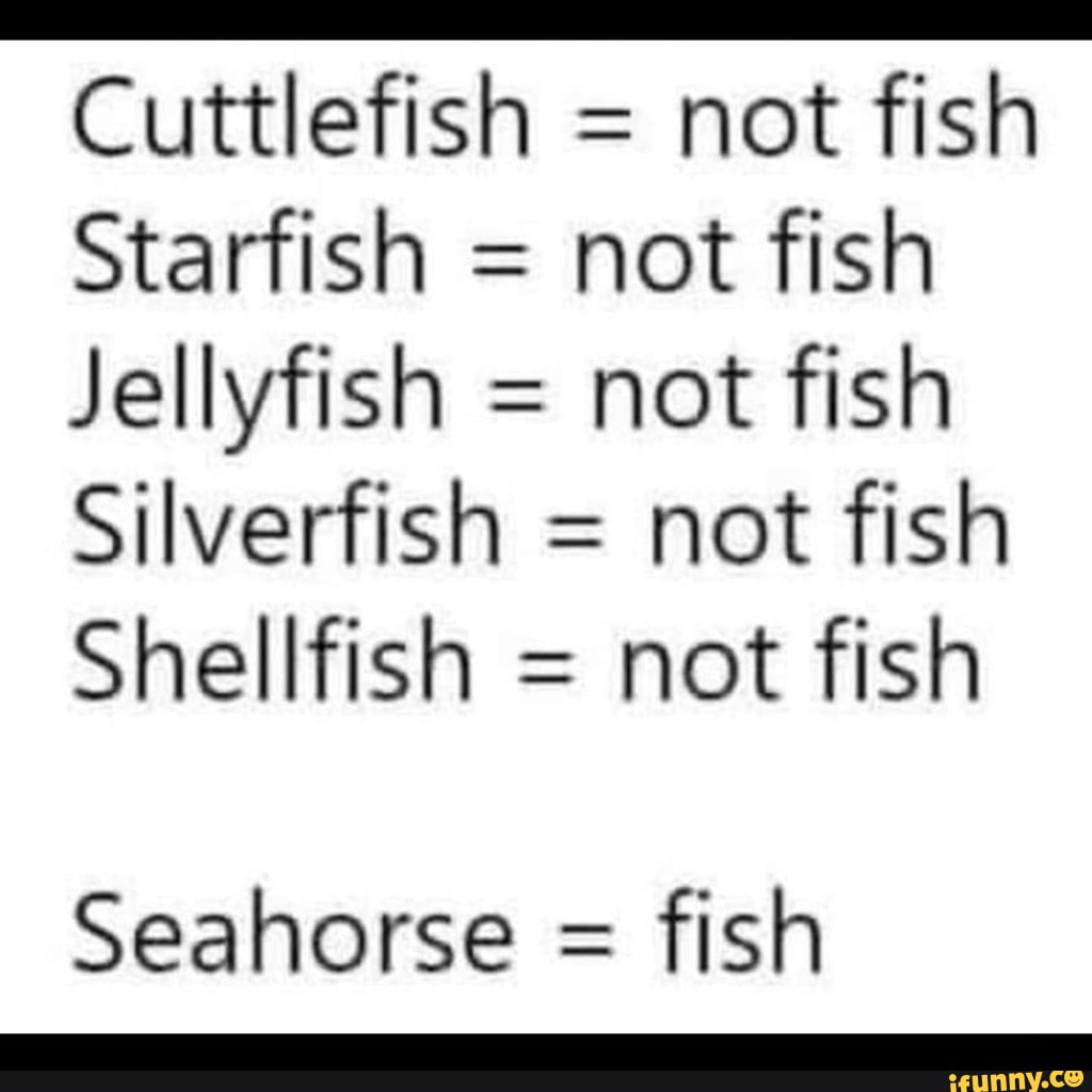 Cuttlefish = not fish Starfish = not fish Jellyfish = not fish ...