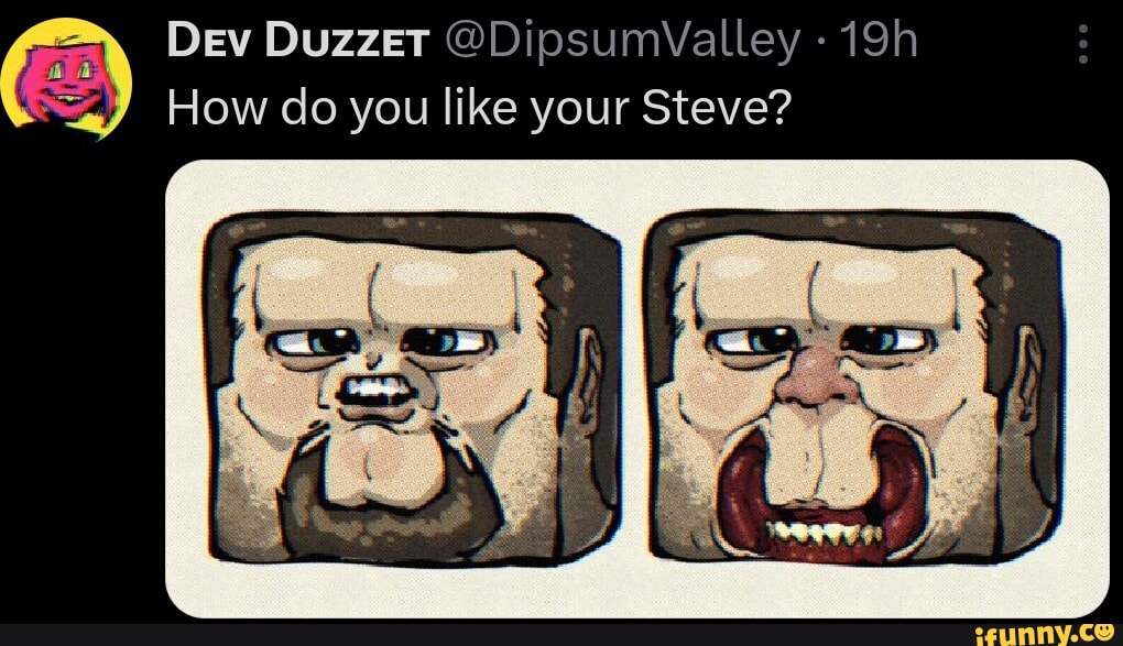 Dev Duzzet @Di How do you like your Steve? - iFunny