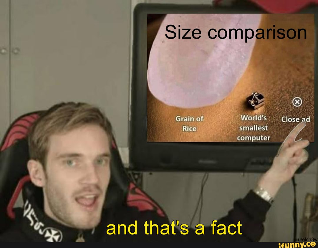 Size comparison Grain of world's Clage Rice smallest computer and that ...